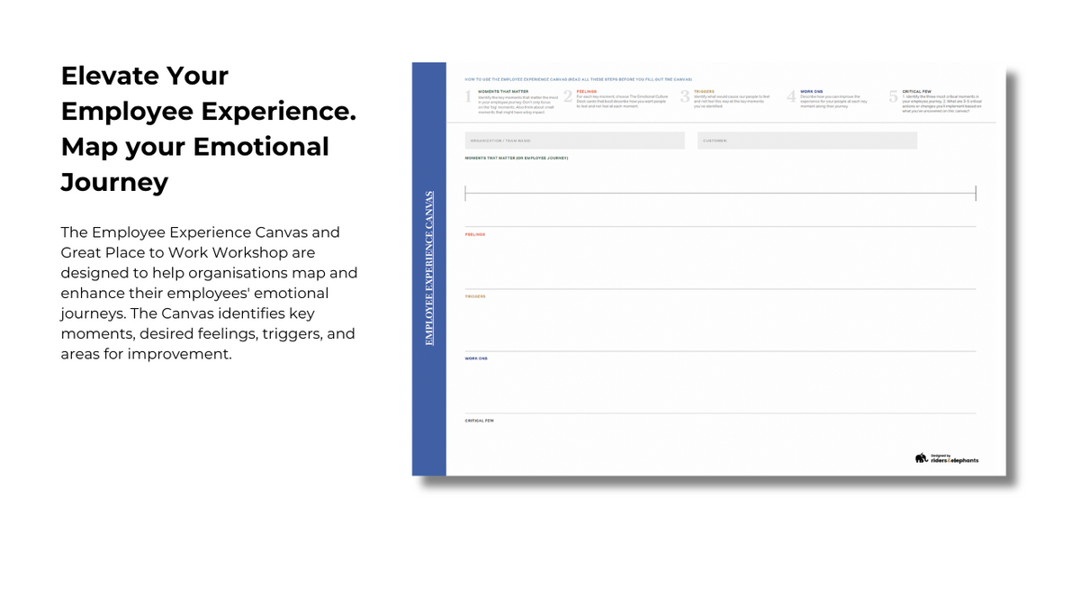 ECD Employee Experience Canvas + Workshop – Digital Download – riders ...